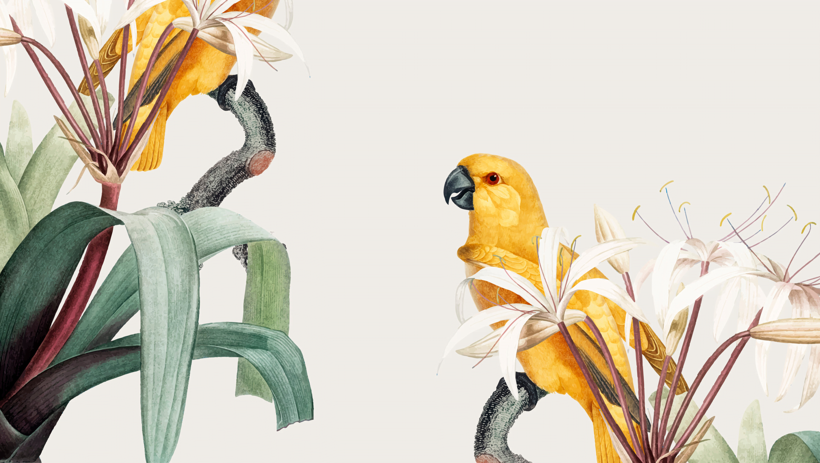 Templates - Professional design templates - CF Studio