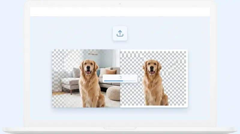 Remove Object from Photo Free Online - AI Tool