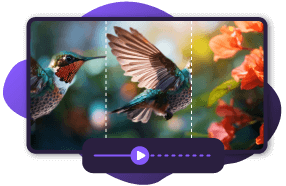 Animate Pictures - Use our Online Feature for Free by Creative Fabrica