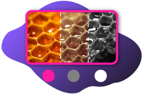 Black and White Filter - Use our Online Feature for Free by Creative ...