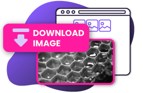 Black and White Filter - Use our Online Feature for Free by Creative ...