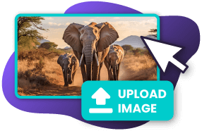 Blur Background - Use our Online Feature for Free by Creative Fabrica