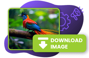 Image Enhancer - Use our Online Feature for Free by Creative Fabrica